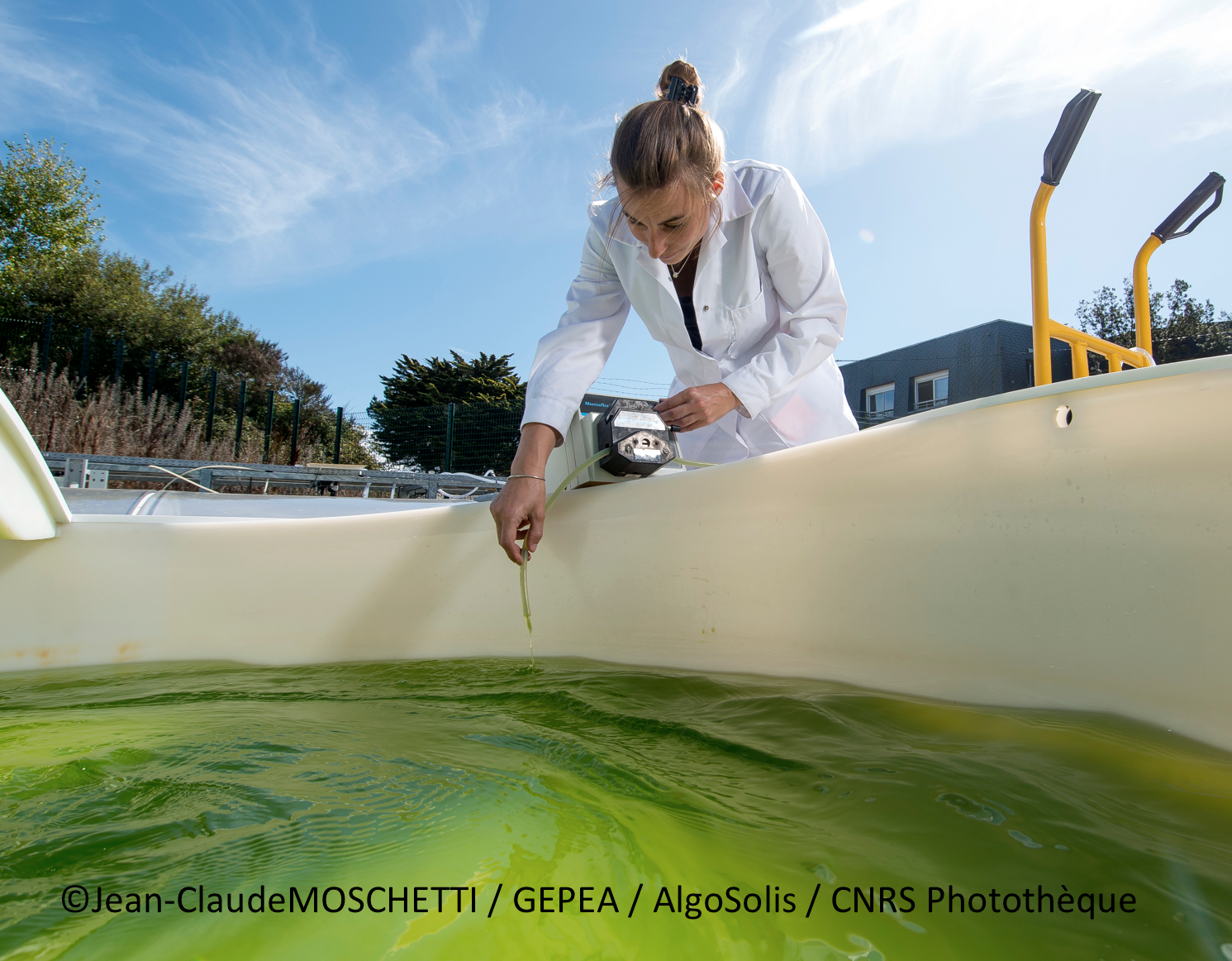 Green Factories : Process engineering for sustainable valorisation of ...